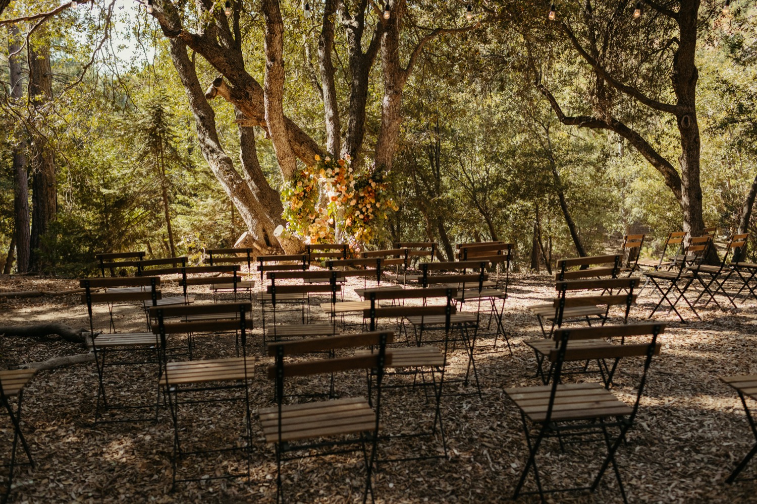 Intimate Cabin Wedding in Idyllwild – Carmelisse Photography