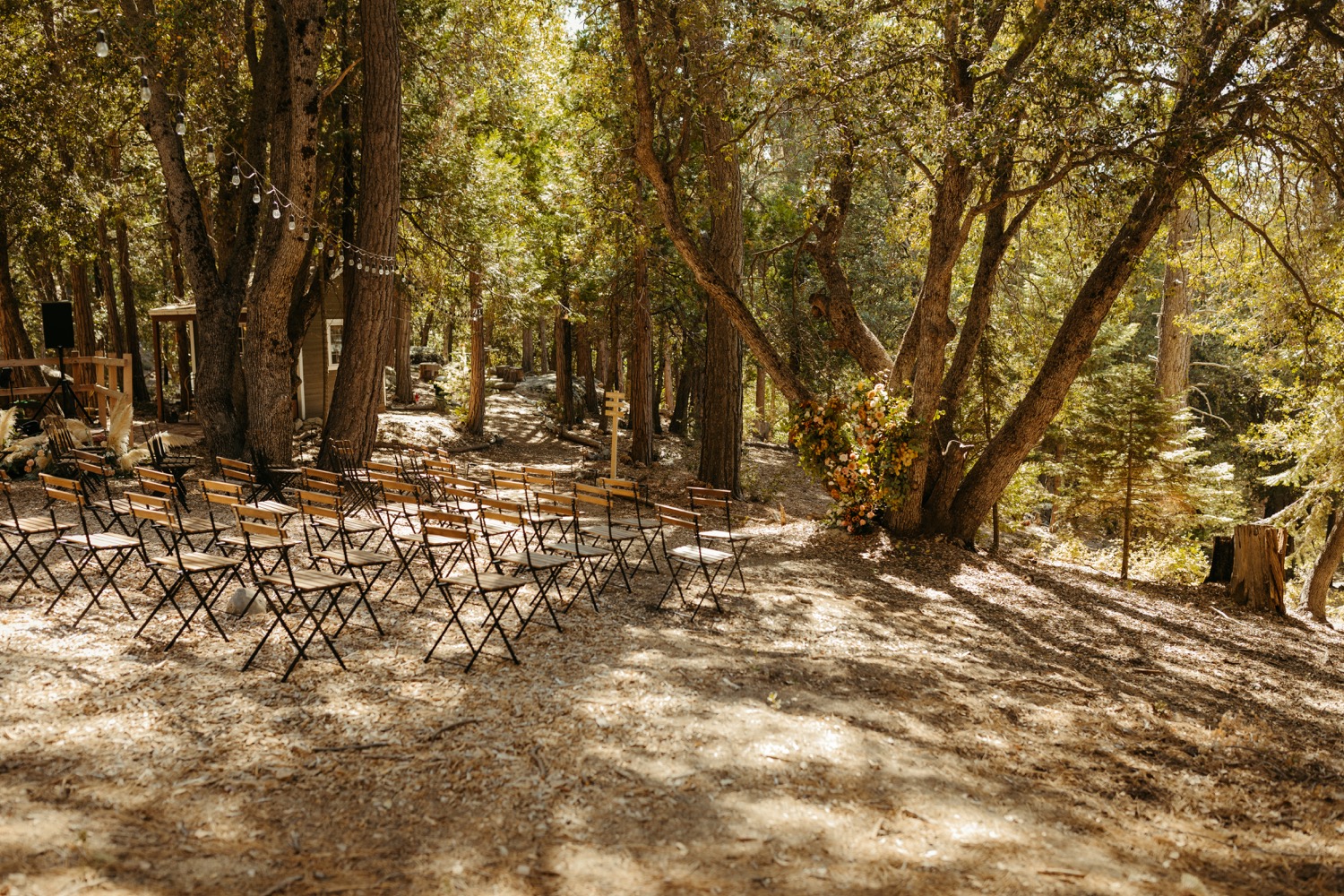 Intimate Cabin Wedding in Idyllwild – Carmelisse Photography
