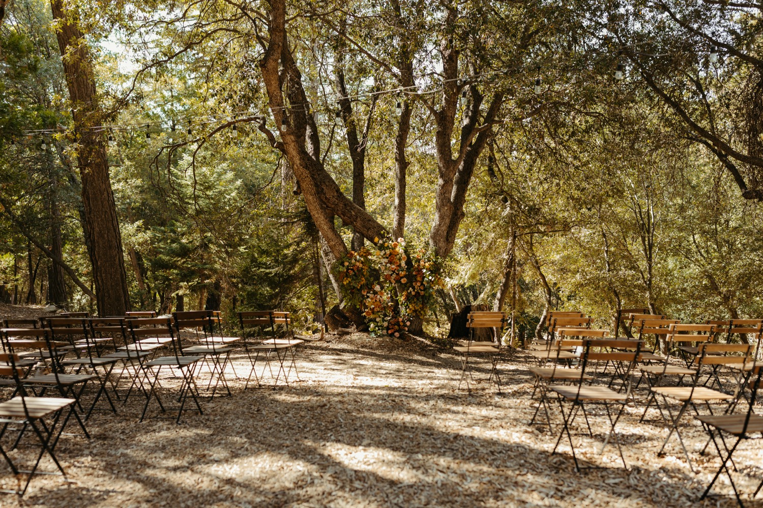 Intimate Cabin Wedding in Idyllwild – Carmelisse Photography