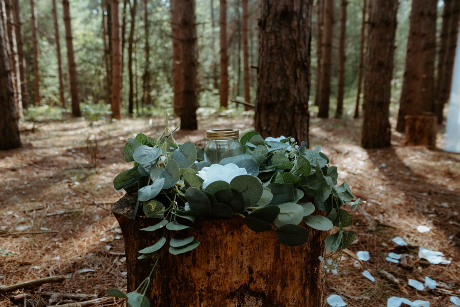 Northern Michigan Forest Wedding - Aliscia Marie Photography