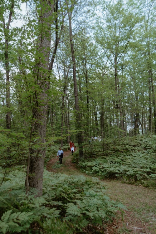 Northern Michigan Forest Wedding - Aliscia Marie Photography