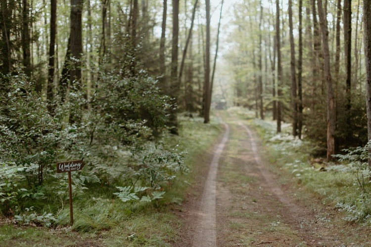 Northern Michigan Forest Wedding - Aliscia Marie Photography