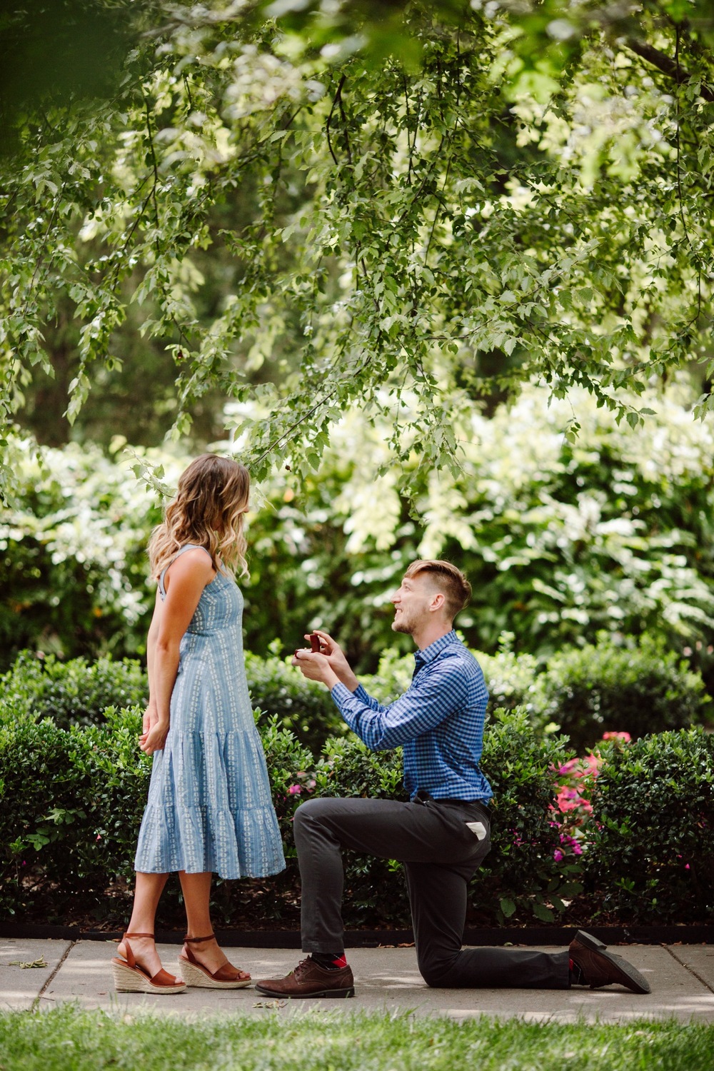 Lipscomb University Wedding Photos: Lipscomb University Over The Years